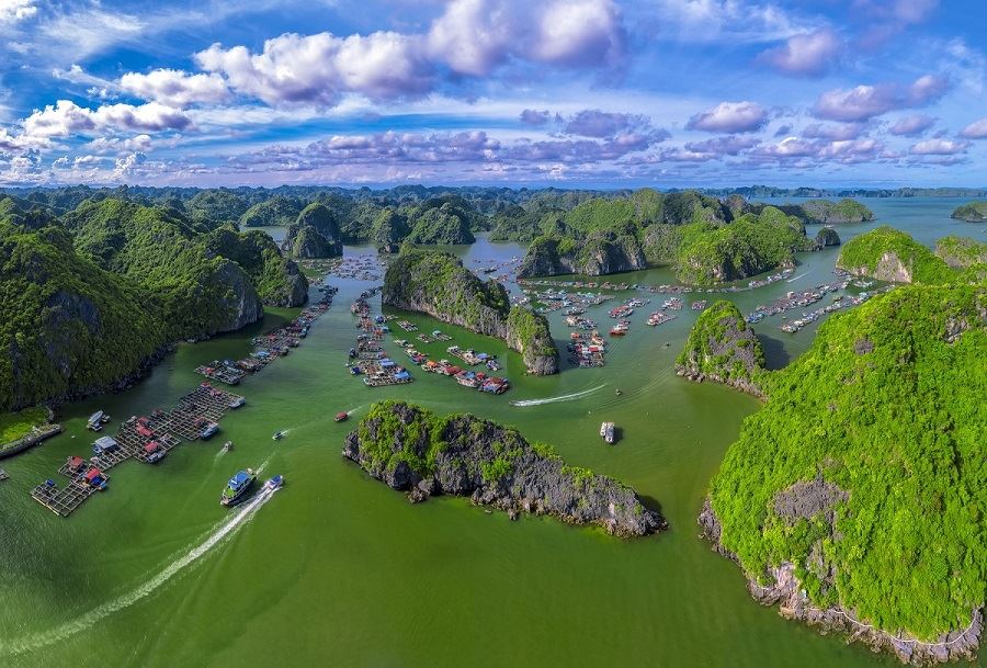 Cai Beo Fishing Floating Village - Lan Ha Bay
